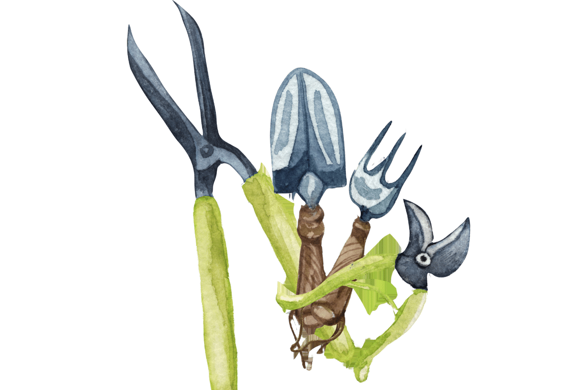 Bereit für deinen Garten? - FleuropHOME