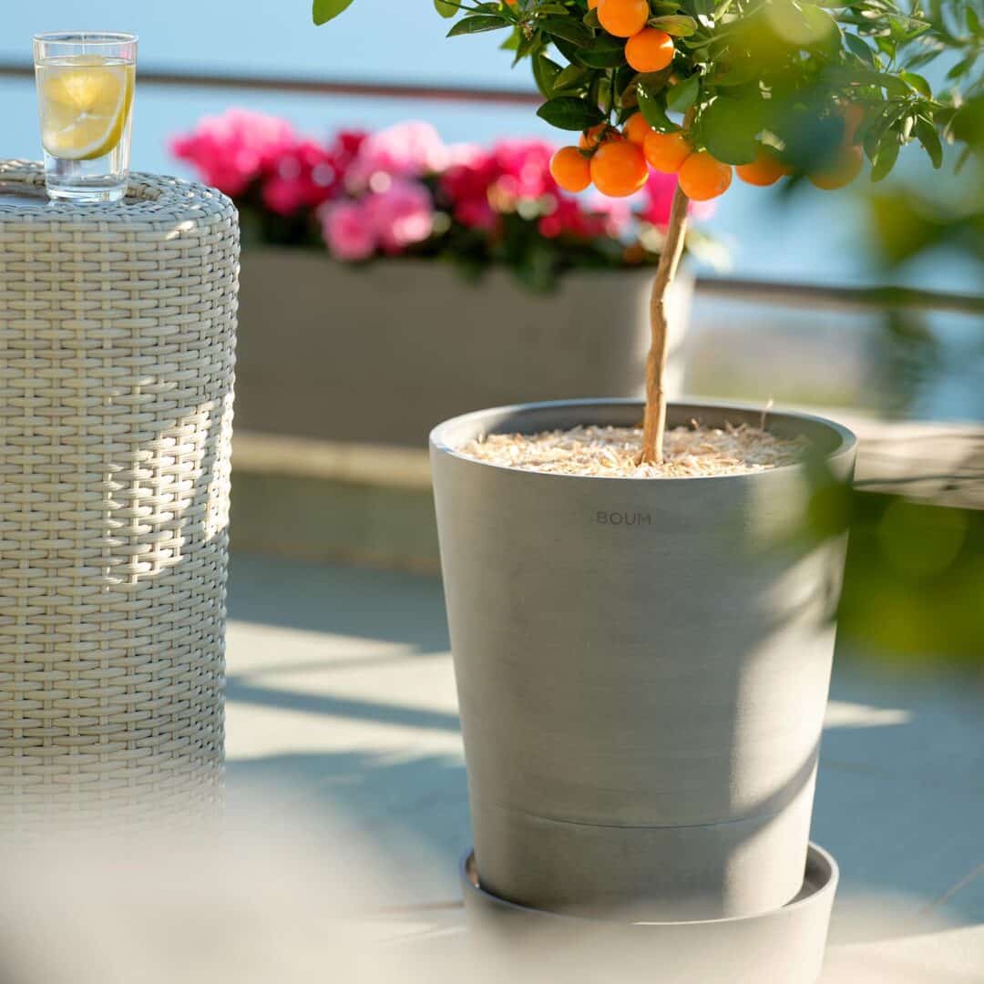 Boum Topf 15 L Pro taupe - FleuropHOME